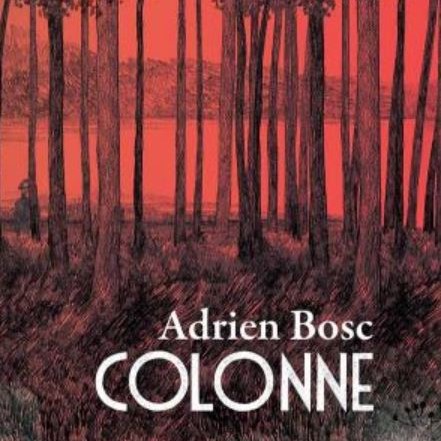 Les lectures de Sophie : "Colonne" d'Adrien Bosc