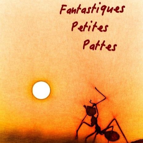 Festival du conte en Val d’Oise : "Fantastiques petites pattes" de ...